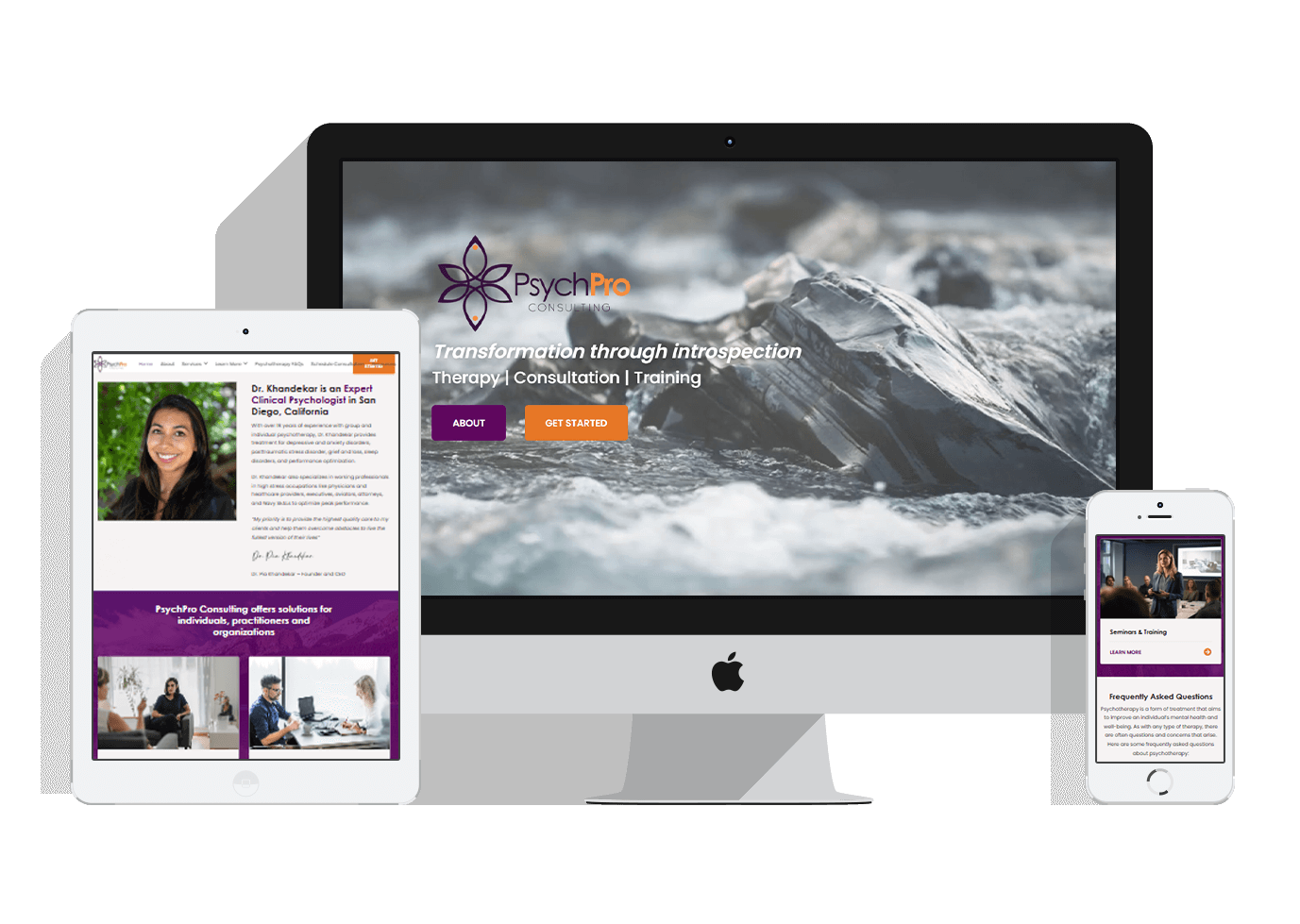 Psych Pro Website - Bold Rose Solutions